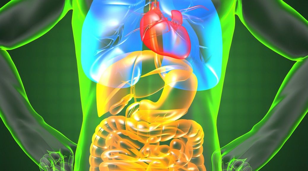 The Importance of Bile Flow and Liver Health